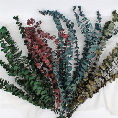 China Folha preservada natural personalizada para o presente/casamento/o home/loja à venda