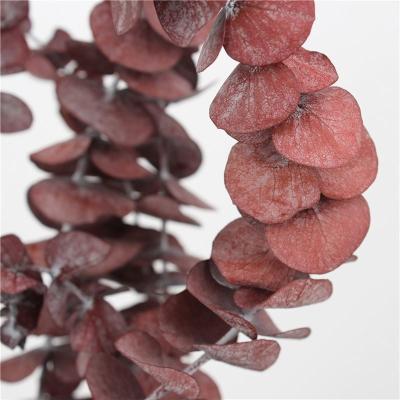 Cina Il colore luminoso del fogliame conservato decorazione domestica della parete può conservare 2-3 anni in vendita