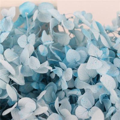 Cina Fiori artificiali falsi dell'ortensia, idee uniche del regalo dell'ortensia reale di tocco in vendita