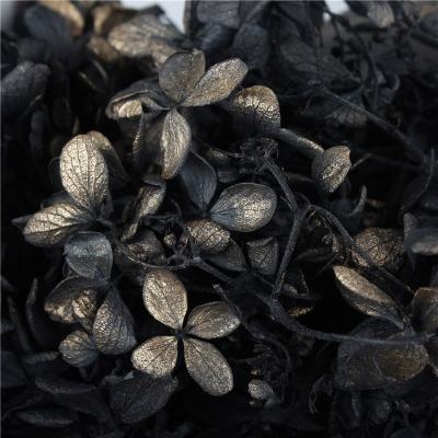 Cina La decorazione ha conservato l'erba di pampa, regalo creativo dei fiori di tocco in vendita