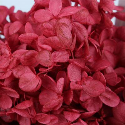 China Bonito uma categoria preservou a cor feita sob encomenda da hortênsia para a decoração da tabela à venda