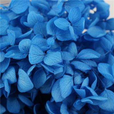 China De echte van de de Giftdoos van de Aanrakingsbloem Milieubescherming voor Gebeurtenissendecoratie Te koop