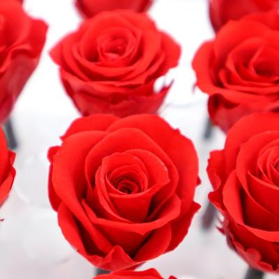 Cina Le rose conservate fatte a mano vivono, decorazione reale del fiore di tocco per il ricevimento nuziale in vendita
