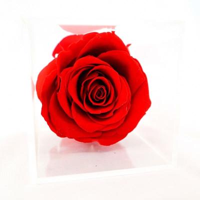 China Bewaard rood nam Bloem brengt Zacht en Gevoelig Detail voor Verjaardagsgift toe Te koop