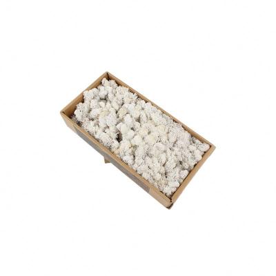 Cina Muschio di renna eccellente su misura del muschio di colore 58*39.5*20CM per la decorazione domestica in vendita