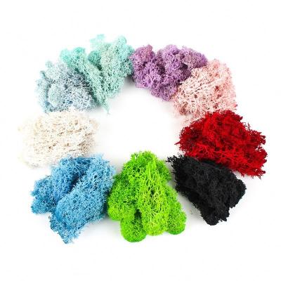 Cina Muschio di renna eccellente su misura del muschio di colore 58*39.5*20CM per la decorazione domestica in vendita