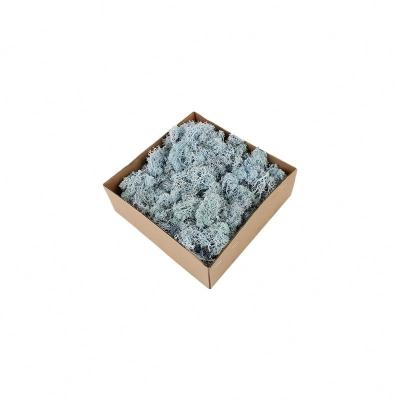 Cina Muschio di renna eccellente su misura del muschio di colore 58*39.5*20CM per la decorazione domestica in vendita