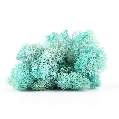 Cina I colori multipli eterni hanno conservato il muschio di renna per la decorazione della parete in vendita