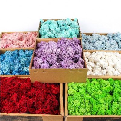 Cina I colori multipli eterni hanno conservato il muschio di renna per la decorazione della parete in vendita