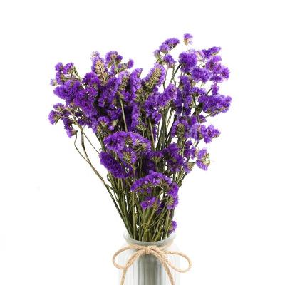 Cina Myosotis porpora brillantemente colorato del fiore del Limonium per la decorazione in vendita