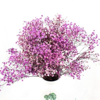 Cina Decorazioni della Tabella di nozze del respiro dei bei bambini secchi multicolori dei fiori in vendita