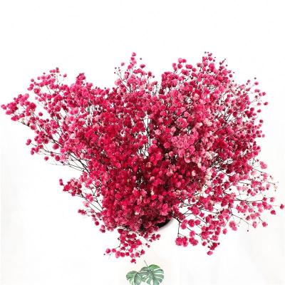 Cina Decorazioni della Tabella di nozze del respiro dei bei bambini secchi multicolori dei fiori in vendita