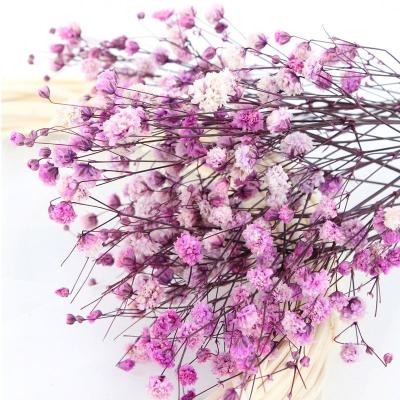 Cina Decorazioni della Tabella di nozze del respiro dei bei bambini secchi multicolori dei fiori in vendita
