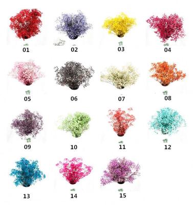 Cina Decorazioni della Tabella di nozze del respiro dei bei bambini secchi multicolori dei fiori in vendita