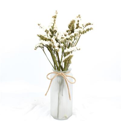 Cina Fiori secchi del Limonium di Statice bei bei con lungamente facendo uso di tempo in vendita
