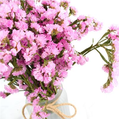 Cina Myosotis secco del Limonium di Statice dei fiori di stile di modo bello in vendita