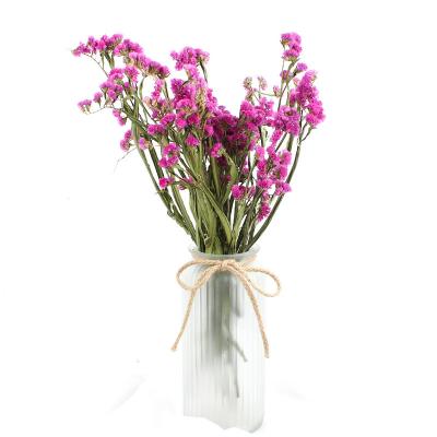 Cina Myosotis secco del Limonium di Statice dei fiori di stile di modo bello in vendita