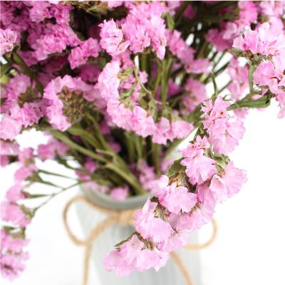 Cina Fiore di Statice del Limonium di myosotis, fiore fresco conservato eterno in vendita