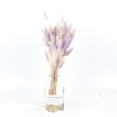 Cina La bella erba secca della coda del coniglio dei fiori di tocco reale ha conservato Lagurus Ovatus in vendita