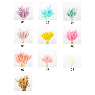 Cina La bella erba secca della coda del coniglio dei fiori di tocco reale ha conservato Lagurus Ovatus in vendita