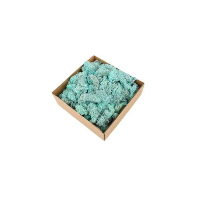 China Decoratieve Echte Natuurlijke Bewaarde Natuurlijke Mos Groene Milieubescherming Te koop