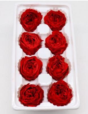 中国 長い生命休日の装飾を制作するために素晴らしい維持されたローズの花 販売のため