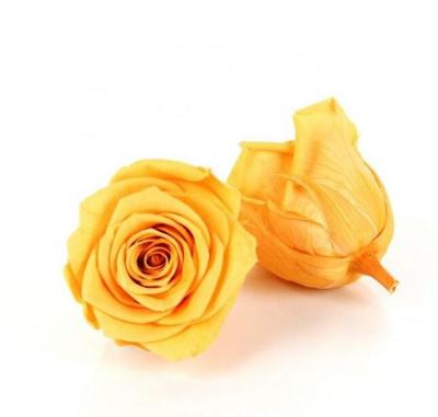 China De mooie Met de hand gemaakte Bewaarde Bloem nam Hoofd met de Korte Stam toe Te koop