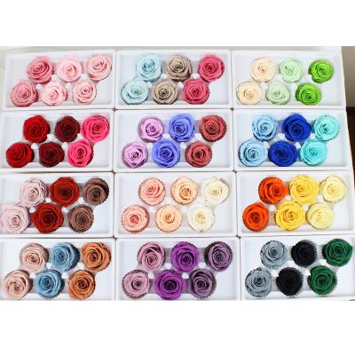 中国 6pcs長続きがする直径の5-6cm維持された頭状花 販売のため
