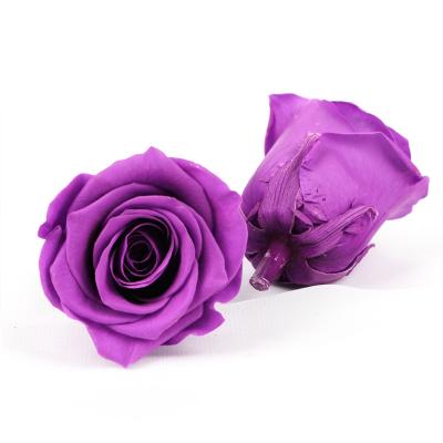 China Kleurrijke Vriendschappelijke Allergie een Rang 56cm Bewaarde Rose Heads Te koop