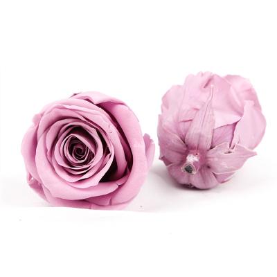 China Kunstmatige Celvervanging die 56cm Onsterfelijke Rose Flower verven Te koop