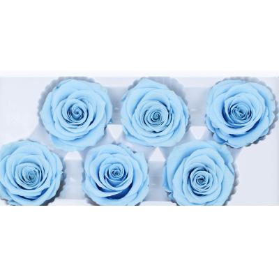 中国 結婚式のための6つの芽/箱5-6cm人工的な維持されたローズの頭部 販売のため