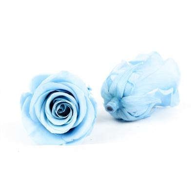 China 100% met de hand gemaakte Diameter 56cm Eeuwige Rose Flower For Valentines Day Te koop