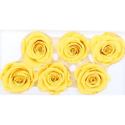 中国 不滅の直径5-6cmは母の日の間ローズの花を維持した 販売のため