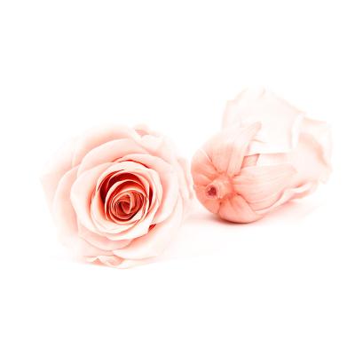 China De met de hand gemaakte 56cm Gift van Diameter Onsterfelijke Rose Flower For Mothers Day Te koop