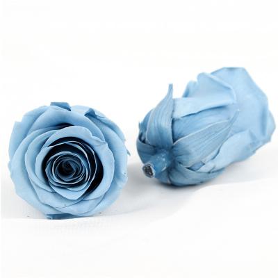 Cina La sostituzione delle cellule che tinge 6pcs il diametro 5-6cm ha conservato Rose Heads in vendita