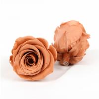 China Cell Replacement Dyeing 6pcs Diameter 5-6cm Preserved Rose Heads for sale