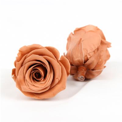 Cina La sostituzione delle cellule che tinge 6pcs il diametro 5-6cm ha conservato Rose Heads in vendita