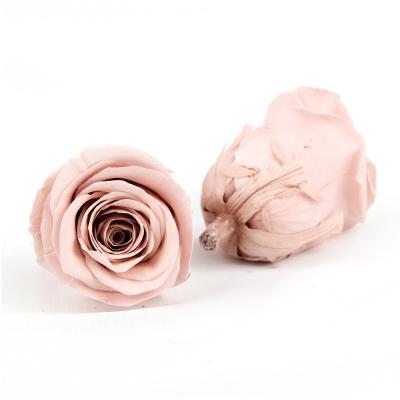 China Celvervanging die 6pcs-Diameter 56cm verven Bewaarde Rose Heads Te koop