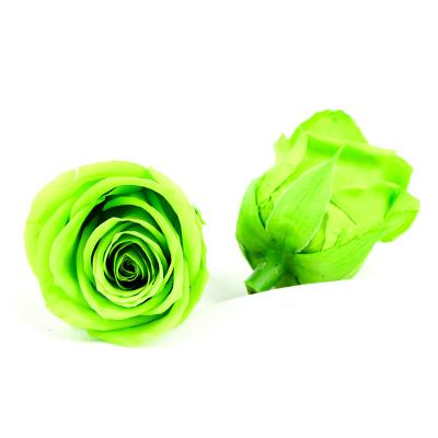 Cina Il grado multicolore di 5-6cm A ha conservato Rose Heads in vendita