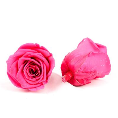 China Veelkleurige 56cm Rang Bewaarde Rose Heads Te koop