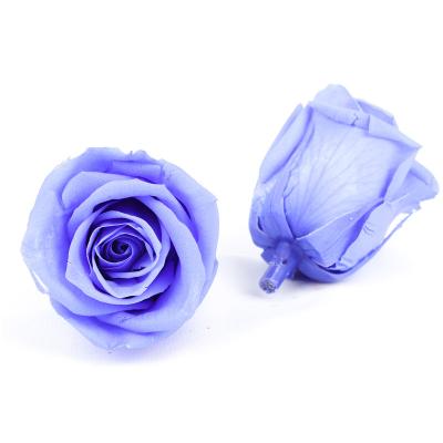 Cina Il grado multicolore di 5-6cm A ha conservato Rose Heads in vendita