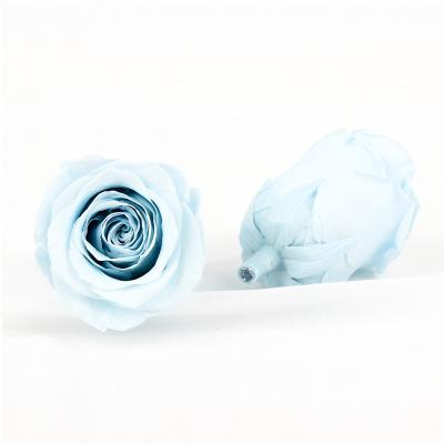China Een Rang 56cm Bewaarde Bloemhoofden voor Bloemenontwerp Te koop