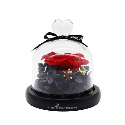 中国 結婚式の装飾7-8CMはローズのガラス ドームを維持した 販売のため