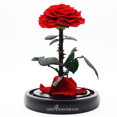 中国 結婚式のための維持された14*14*22CMの長い茎のガラスばら 販売のため