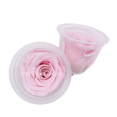 China 45cm Roze Bewaarde Rozen in een Langdurige Doos Te koop