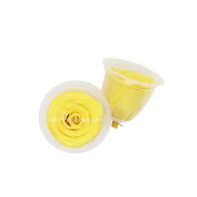 China Decoratieve Verse Besnoeiings Gele Bewaarde Rozen 2-3 Cm Te koop