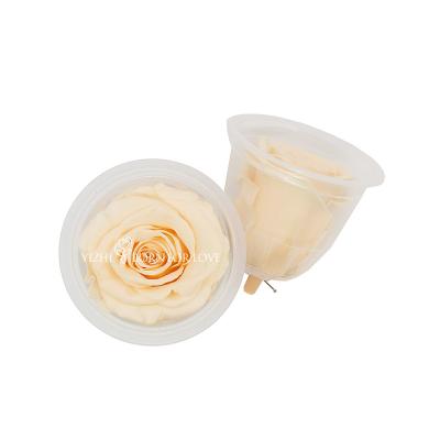 China 56cm Eeuwige Eeuwige Bewaarde Rose Heads een Rang Te koop