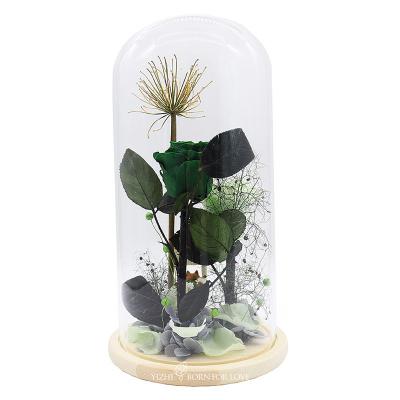 Cina Le rose eterne in decorazione sveglia domestica di vetro hanno conservato i contenitori di regalo del fiore per il San Valentino in vendita