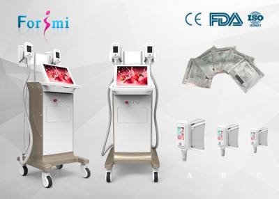 China vaser liposelection 3.5 inch Cryolipolysis Slimming Machine FMC-I Fat Freezing Machine for sale