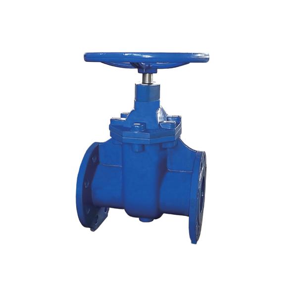 Quality BS5163 Flange Gate Valves PN25 NRS BS Gate Valve With Fusion Bonded Epoxy Coating for sale